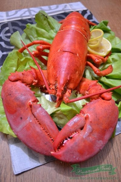 Cum pregatim homarul