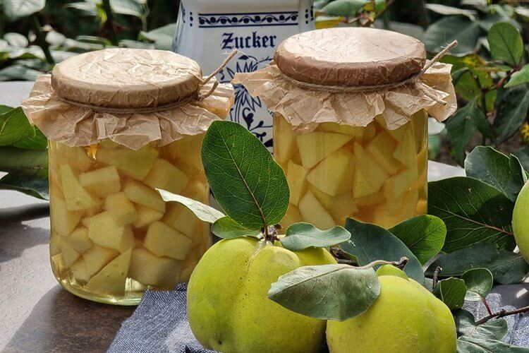 Dulceturi si Compoturi - Bucataresele Vesele