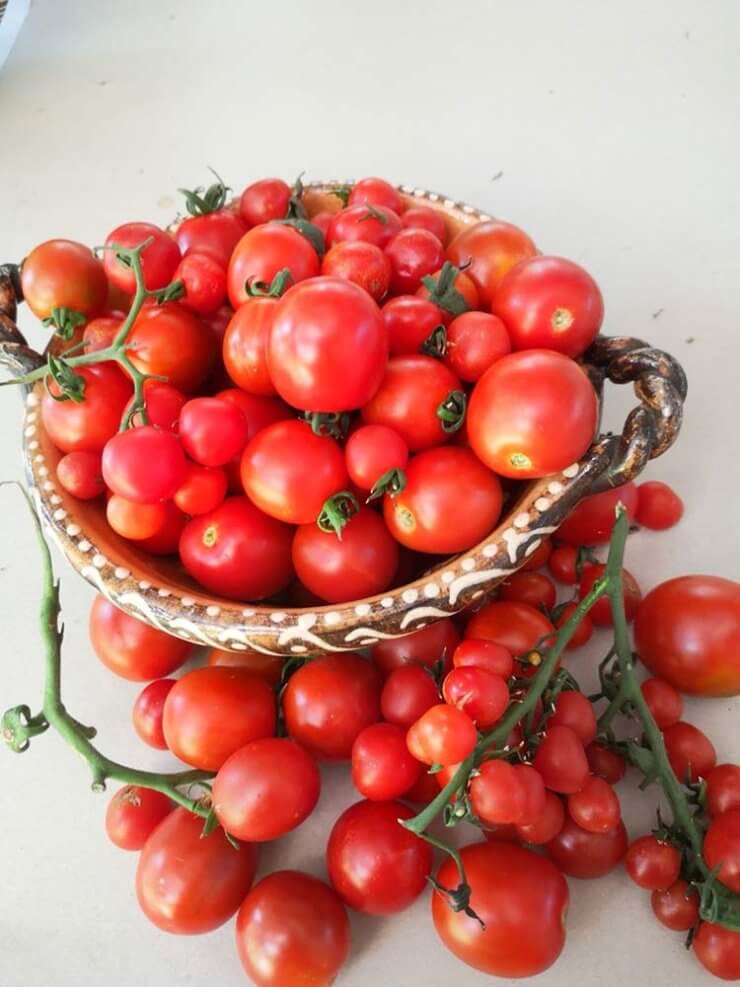 Rosii cherry uscate si conservate in ulei - Bucataresele Vesele